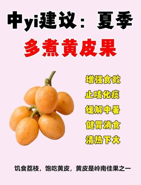 黄皮的功效与作用_黄皮怎么吃不上火-第1张图片-山城妙识
