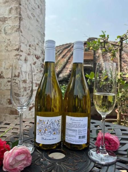 雪利酒怎么喝_雪利酒配什么食物-第1张图片-山城妙识