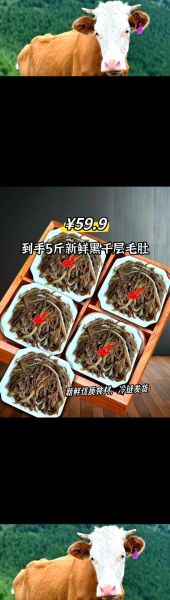 黑毛肚的营养价值_黑毛肚适合什么人吃-第3张图片-山城妙识