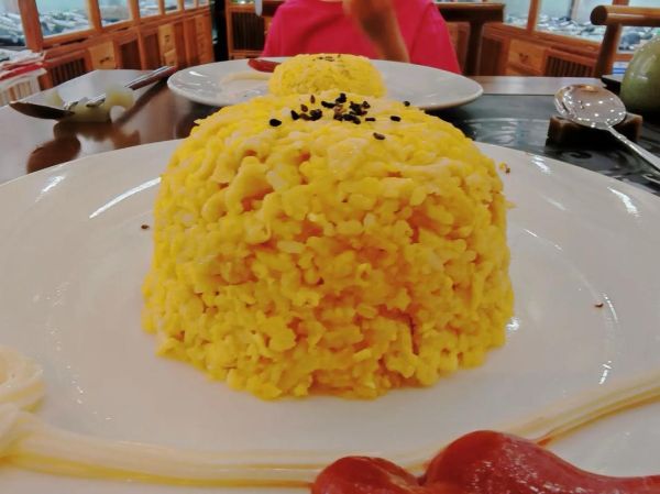 黄金蛋炒饭小说讲了什么_结局是HE还是BE-第1张图片-山城妙识