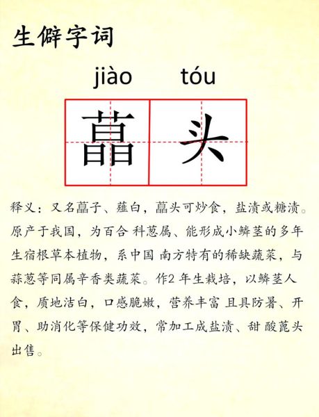 老鸹头是什么_老鸹头怎么治-第1张图片-山城妙识