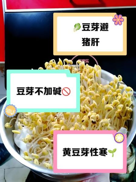 豆芽不能和什么一起吃_豆芽相克食物有哪些-第1张图片-山城妙识 豆芽不能和什么一起吃_豆芽相克食物有哪些-第1张图片-山城妙识