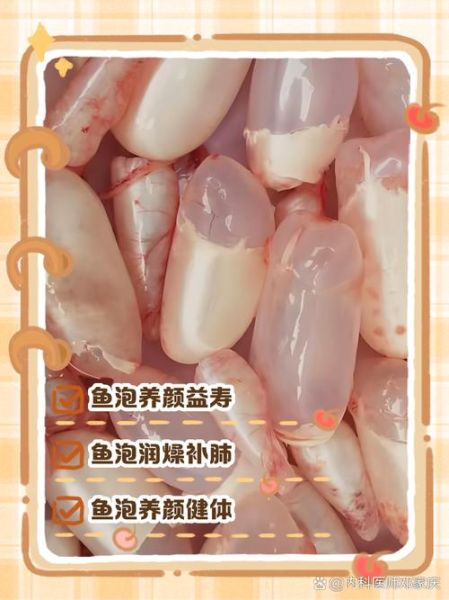 鱼泡的功效与禁忌_哪些人不能吃鱼泡-第3张图片-山城妙识