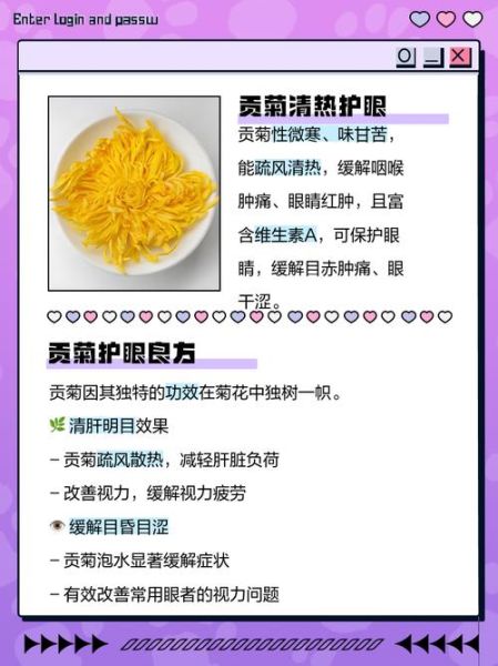 贡菊的功效与作用_贡菊怎么泡水喝才正确-第1张图片-山城妙识 贡菊的功效与作用_贡菊怎么泡水喝才正确-第1张图片-山城妙识