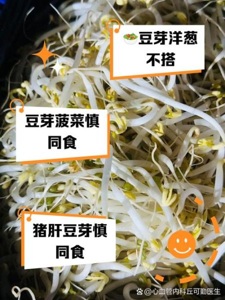 豆芽不能和什么一起吃_豆芽相克食物有哪些-第3张图片-山城妙识 豆芽不能和什么一起吃_豆芽相克食物有哪些-第3张图片-山城妙识