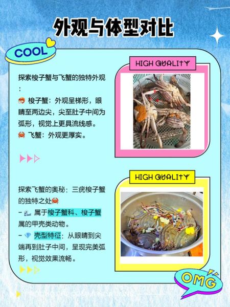 飞蟹和梭子蟹的区别_哪个更好吃-第1张图片-山城妙识