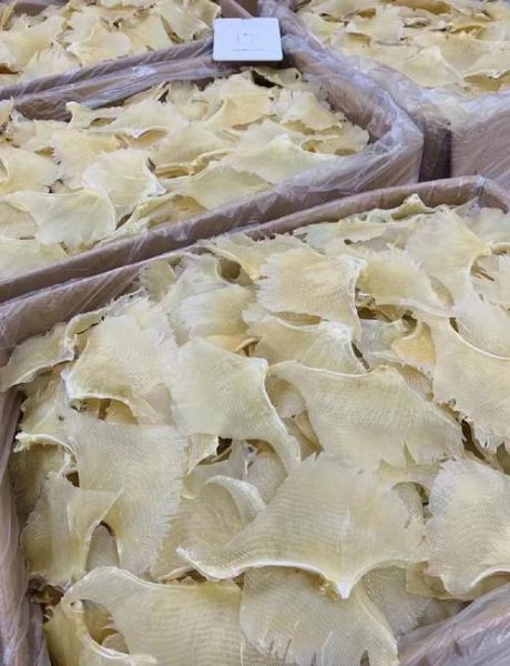 鳐鱼鱼翅怎么泡发_鳐鱼鱼翅家常做法-第1张图片-山城妙识 鳐鱼鱼翅怎么泡发_鳐鱼鱼翅家常做法-第1张图片-山城妙识