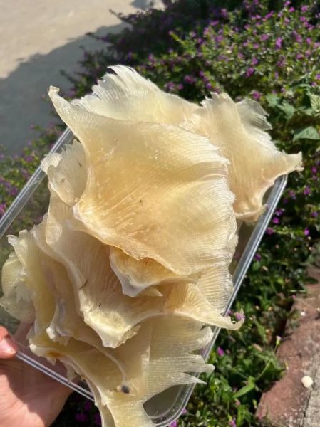 鳐鱼鱼翅怎么泡发_鳐鱼鱼翅家常做法-第3张图片-山城妙识 鳐鱼鱼翅怎么泡发_鳐鱼鱼翅家常做法-第3张图片-山城妙识