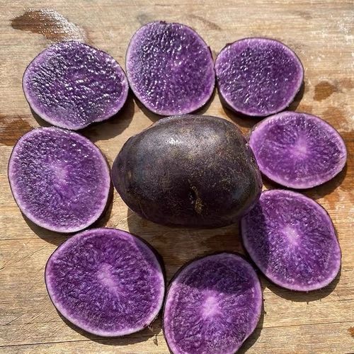 黑美人土豆产地在哪里_黑美人土豆主产区分布-第1张图片-山城妙识