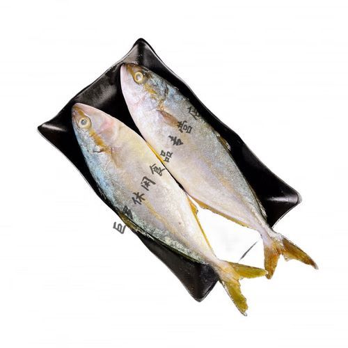 黄尖鱼是什么鱼_黄尖鱼多少钱一斤-第1张图片-山城妙识