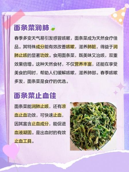 面条菜的营养价值_面条菜怎么吃最营养-第1张图片-山城妙识 面条菜的营养价值_面条菜怎么吃最营养-第1张图片-山城妙识