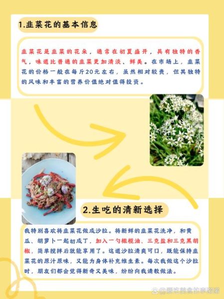 什么人不能吃韭菜花_韭菜花禁忌人群有哪些-第2张图片-山城妙识 什么人不能吃韭菜花_韭菜花禁忌人群有哪些-第2张图片-山城妙识