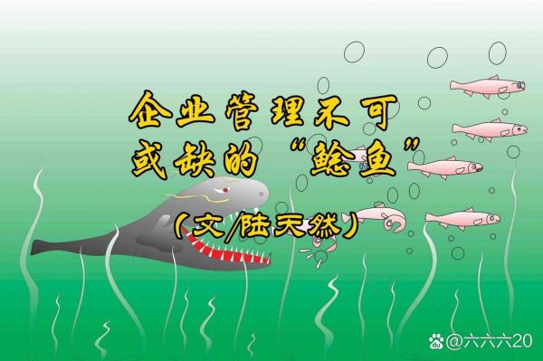 鲶鱼效应是什么意思_鲶鱼效应在企业管理中的应用-第3张图片-山城妙识