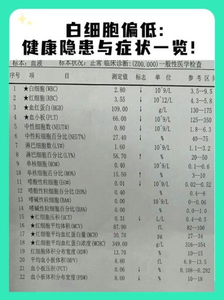 白细胞低有什么危险_白细胞减少的危害-第1张图片-山城妙识 白细胞低有什么危险_白细胞减少的危害-第1张图片-山城妙识