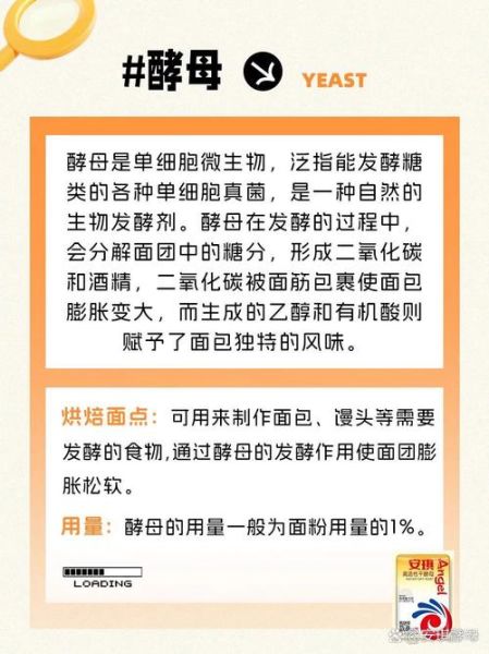 苏打粉可以发酵面粉吗_苏打粉与酵母区别-第1张图片-山城妙识