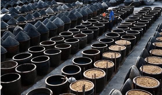 酱油怎么酿_家庭自酿酱油全过程-第2张图片-山城妙识