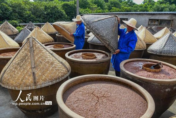 酱油怎么酿_家庭自酿酱油全过程-第3张图片-山城妙识