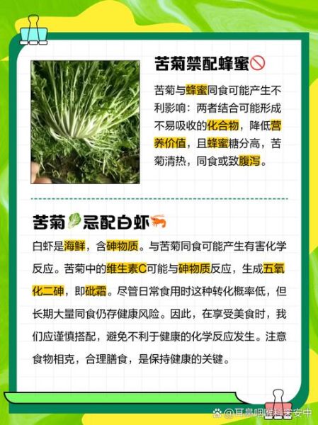 苦菊不能和什么一起吃_苦菊相克食物有哪些-第3张图片-山城妙识 苦菊不能和什么一起吃_苦菊相克食物有哪些-第3张图片-山城妙识