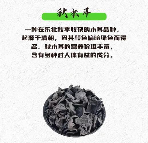 松蘑和榛蘑哪个好_营养价值与口感对比-第1张图片-山城妙识 松蘑和榛蘑哪个好_营养价值与口感对比-第1张图片-山城妙识