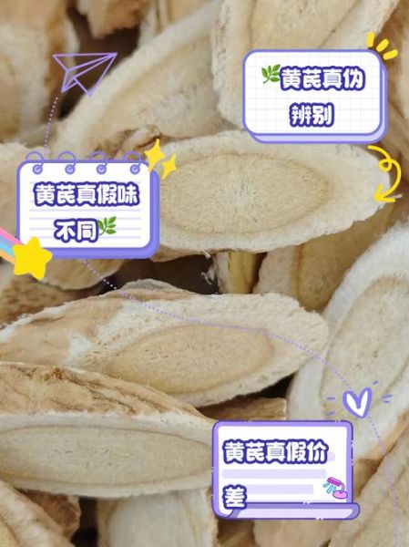 黄芪图片_如何辨别真假黄芪-第1张图片-山城妙识