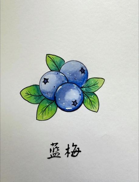 蓝莓图片大全大图卡通_如何画可爱蓝莓-第1张图片-山城妙识