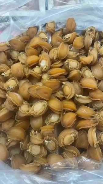 鲍鱼多少钱一个头_鲍鱼一个头价格是多少-第2张图片-山城妙识