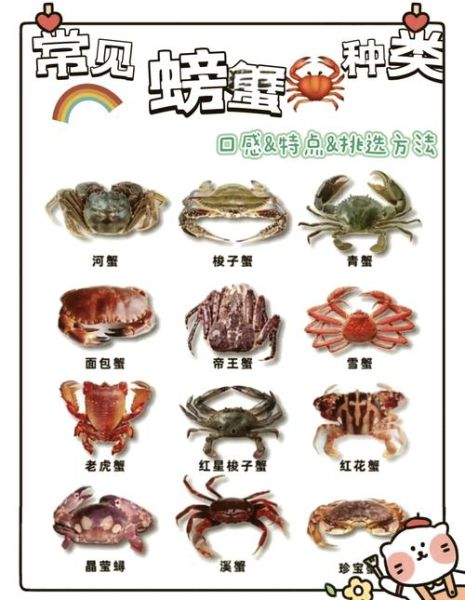螃蟹品种大全_常见螃蟹种类有哪些-第2张图片-山城妙识