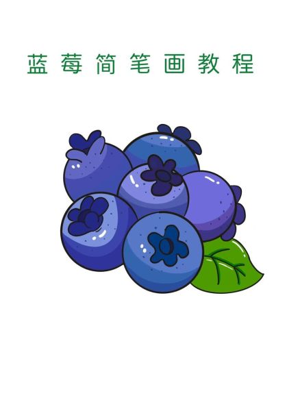 蓝莓图片大全大图卡通_如何画可爱蓝莓-第2张图片-山城妙识