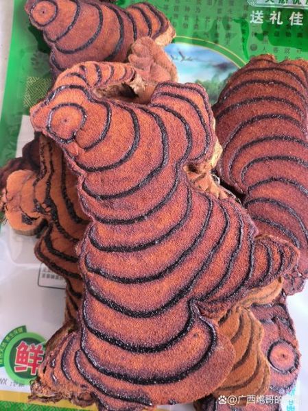 鸡血藤禁忌人群有哪些_哪些人不能吃鸡血藤-第3张图片-山城妙识 鸡血藤禁忌人群有哪些_哪些人不能吃鸡血藤-第3张图片-山城妙识