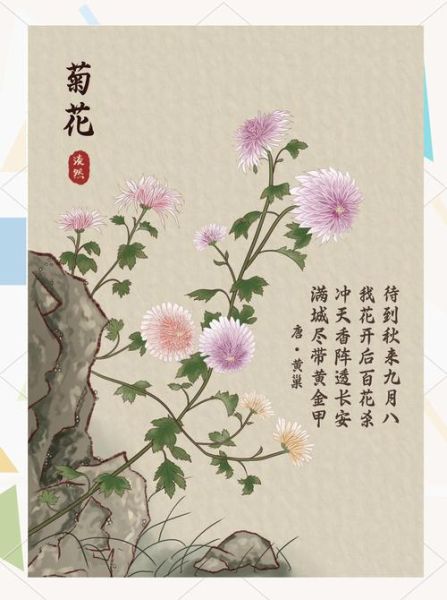 菊花的花语是什么_菊花象征什么意义-第1张图片-山城妙识