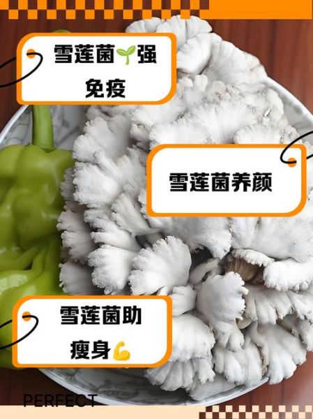 雪莲菌的功效与作用_雪莲菌怎么吃最好-第2张图片-山城妙识