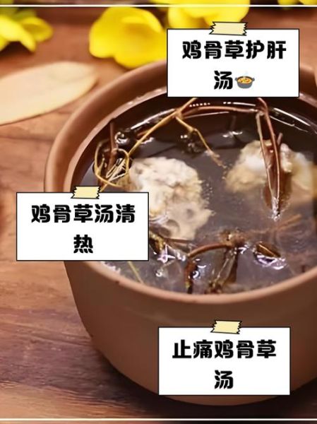 鸡骨草煲猪骨有什么功效_适合什么人喝-第1张图片-山城妙识 鸡骨草煲猪骨有什么功效_适合什么人喝-第1张图片-山城妙识