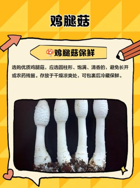 鸡腿菇热量是多少_减肥能吃吗-第1张图片-山城妙识