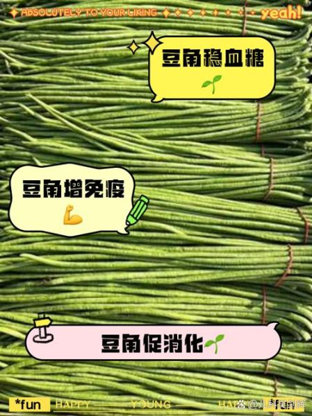 长豆角的功效与作用_长豆角的禁忌有哪些-第1张图片-山城妙识