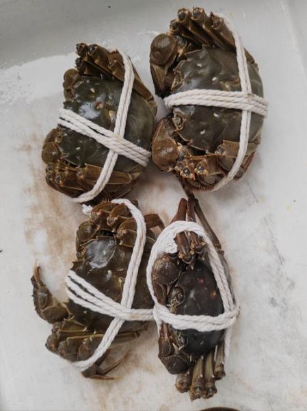 花雕蟹是哪里的菜_花雕蟹怎么做才正宗-第3张图片-山城妙识