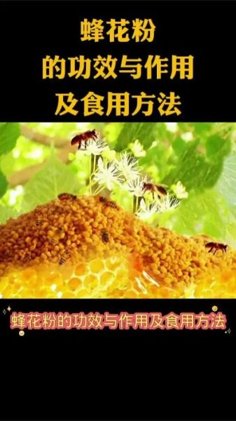 蜂花粉的功效与禁忌_哪些人不适合吃蜂花粉-第2张图片-山城妙识