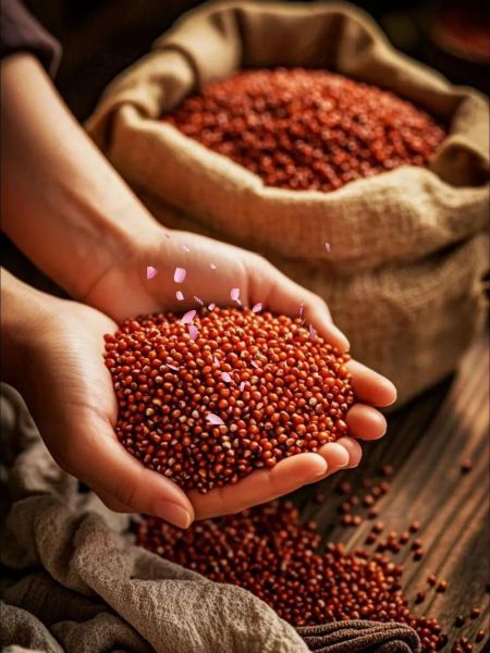 高粱米是粗粮吗_高粱米营养价值高吗-第3张图片-山城妙识 高粱米是粗粮吗_高粱米营养价值高吗-第3张图片-山城妙识