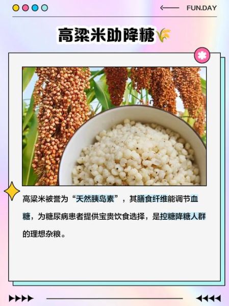 高粱米是粗粮吗_高粱米营养价值高吗-第1张图片-山城妙识 高粱米是粗粮吗_高粱米营养价值高吗-第1张图片-山城妙识