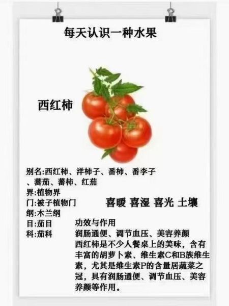 西红柿的营养价值有哪些_吃西红柿对身体有什么好处-第1张图片-山城妙识