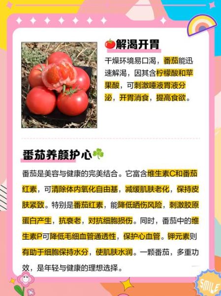 西红柿的营养价值有哪些_吃西红柿对身体有什么好处-第3张图片-山城妙识