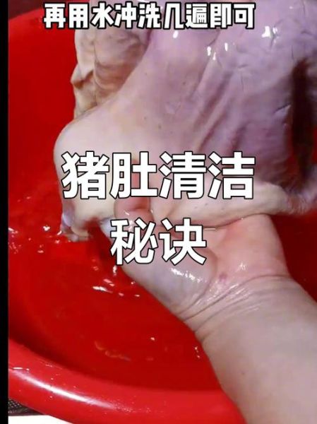 猪肚子怎么清洗_猪肚子去腥技巧-第3张图片-山城妙识