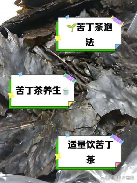 苦丁茶能减肥吗_苦丁茶减肥的正确喝法-第1张图片-山城妙识