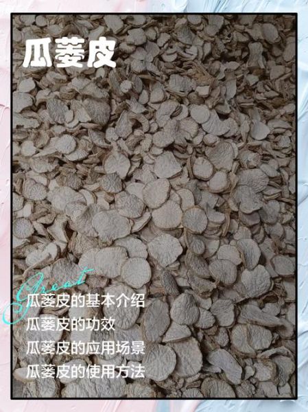蜜瓜蒌皮的功效与作用_蜜瓜蒌皮怎么吃效果最好-第2张图片-山城妙识 蜜瓜蒌皮的功效与作用_蜜瓜蒌皮怎么吃效果最好-第2张图片-山城妙识
