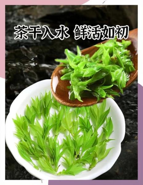 苦丁茶能减肥吗_苦丁茶减肥的正确喝法-第2张图片-山城妙识
