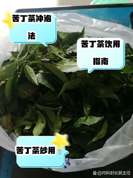 苦丁茶能减肥吗_苦丁茶减肥的正确喝法-第3张图片-山城妙识