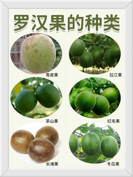 润肺的水果有哪些_润肺的水果有哪几种-第1张图片-山城妙识