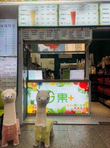 鲜榨果汁店投资多少钱_开鲜榨果汁店需要多少资金-第2张图片-山城妙识