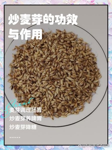 麦芽的功效与作用及禁忌症_麦芽怎么吃才安全-第1张图片-山城妙识