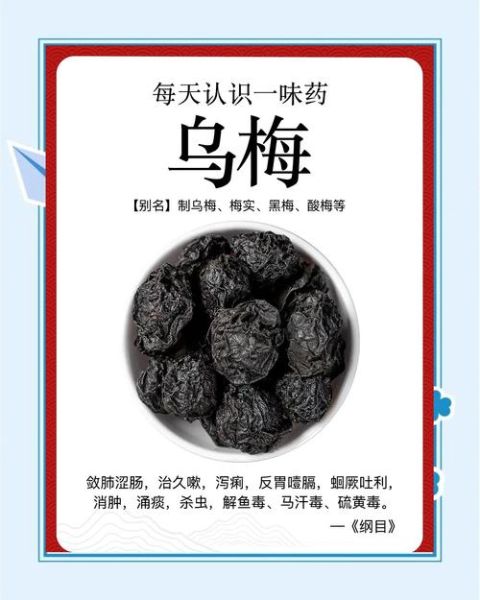 药用乌梅与零食乌梅的区别_如何挑选正宗药用乌梅-第2张图片-山城妙识