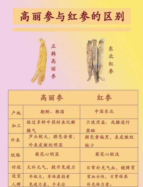 高丽参的功效与作用_高丽参的禁忌人群有哪些-第2张图片-山城妙识